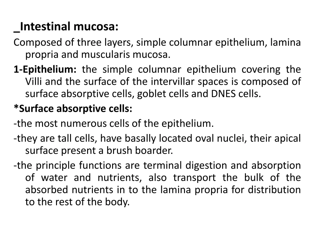 Understanding Intestinal Mucosa Layers PPT | SlideOrbit